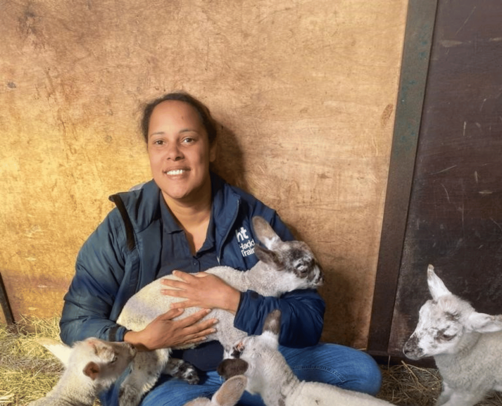 Alternative Provision - Haddon Training