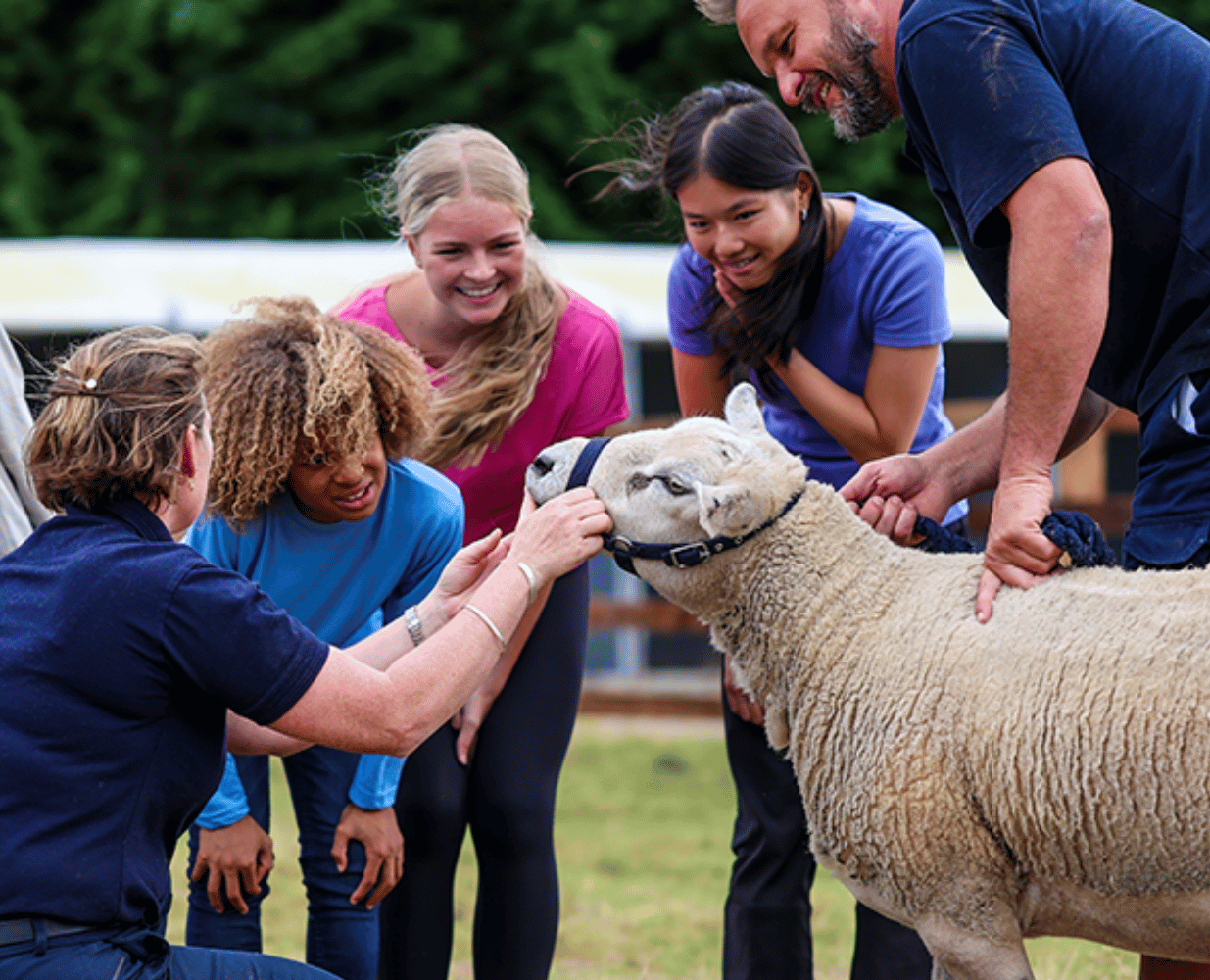 Inclusive education - Haddon Training