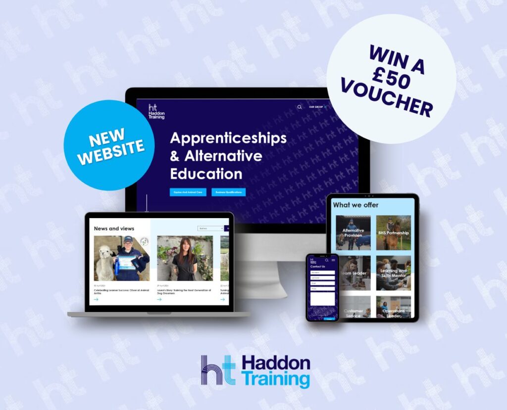 What are functional skills, and why are they so important? - Haddon ...