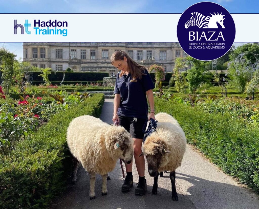 Racing apprentice, Joe Leavy, shares his experience - Haddon Training