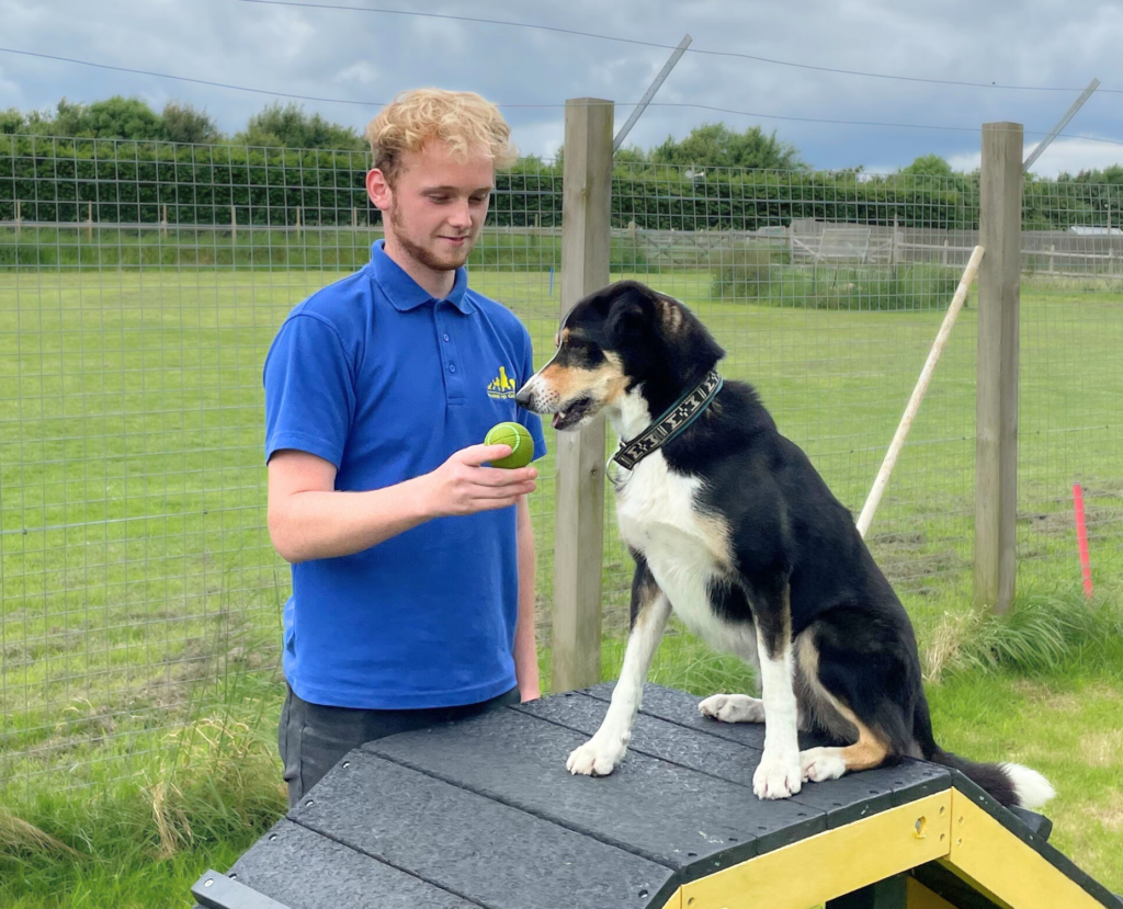 Racing apprentice, Joe Leavy, shares his experience - Haddon Training
