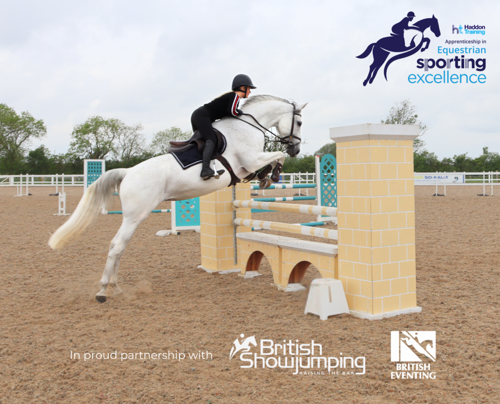 AESE: Frequently Asked Questions - Haddon Training