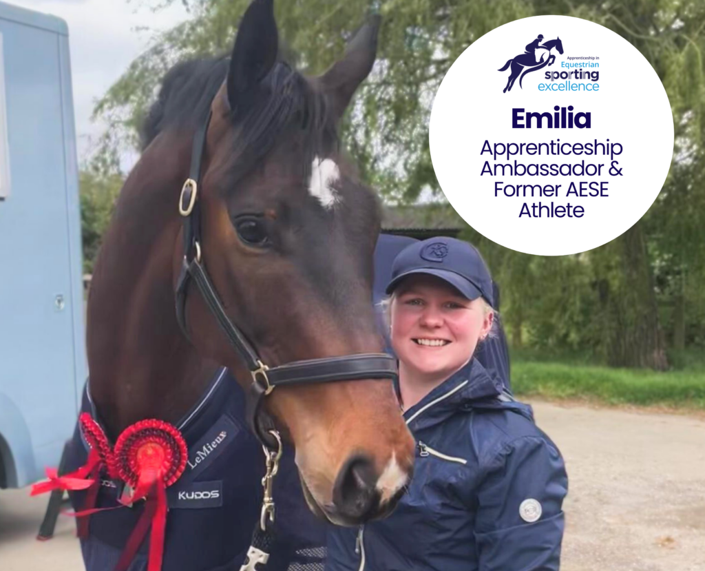 Apprenticeship Ambassador Emilia: Blog 14 - Haddon Training