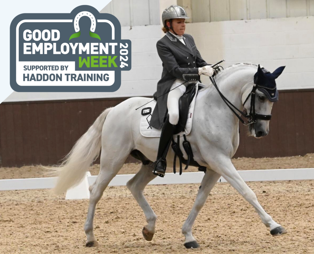 Good Employment Week: Tidmarsh Stud Livery - Haddon Training