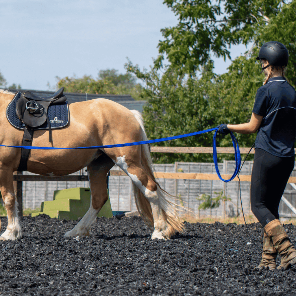 Aim High - Haddon Training