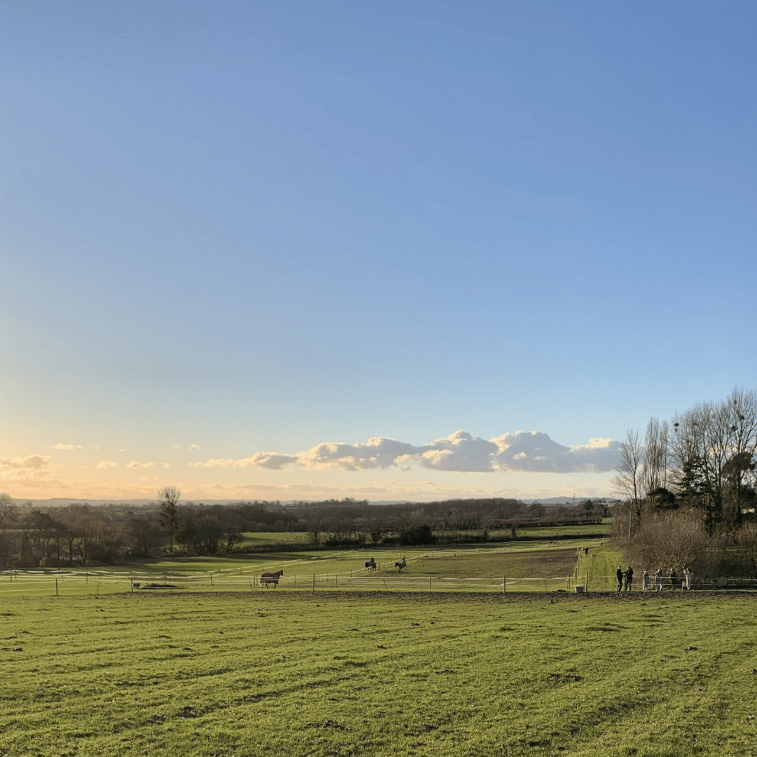 Flying Start Children's Riding Centre - Haddon Training
