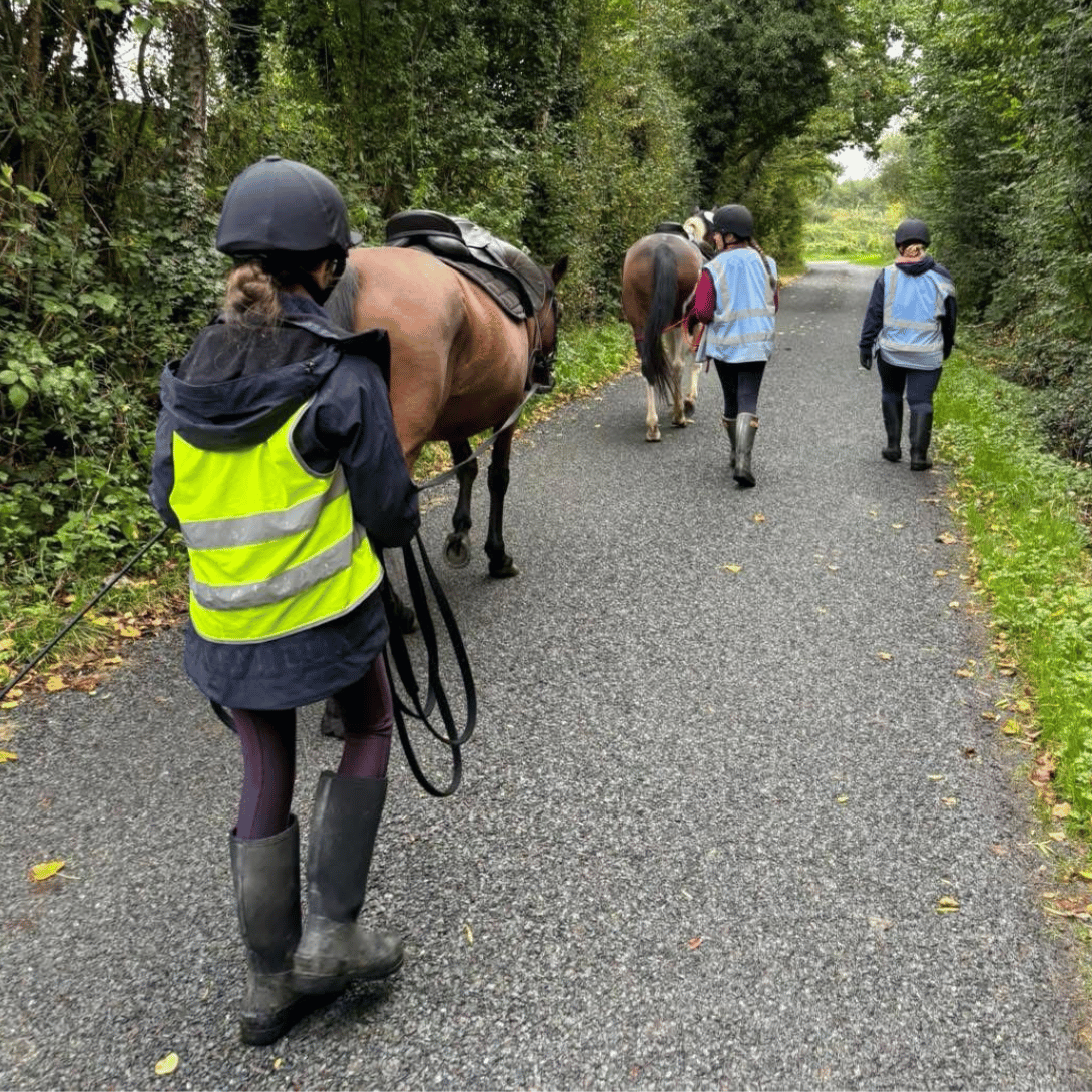 Lands End Equestrian Centre Brochures - Haddon Training
