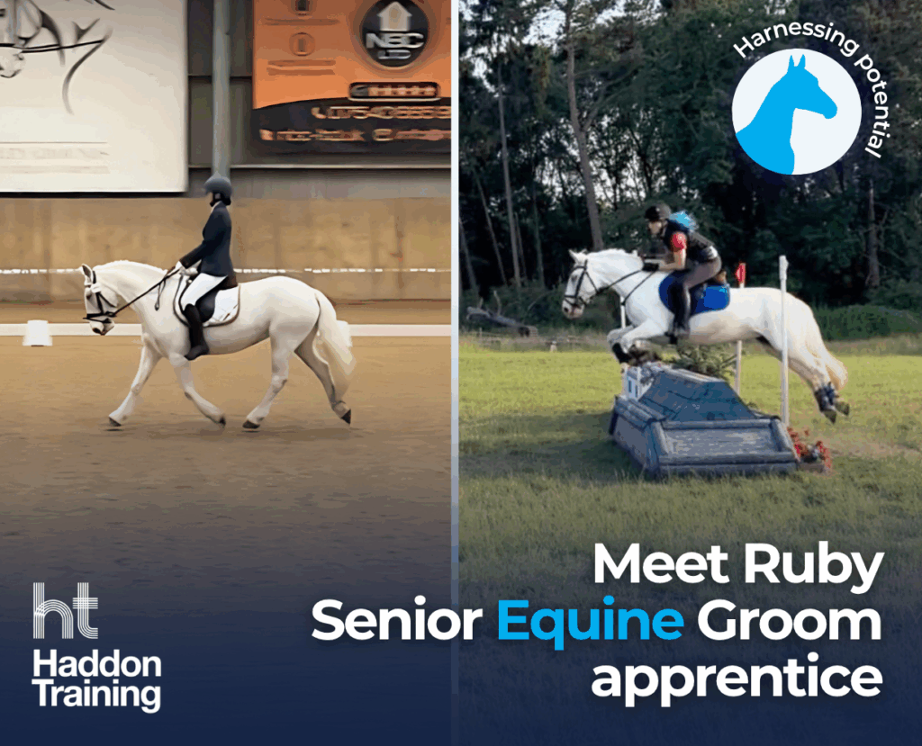 Developing Skills as a Senior Equine Groom Apprentice - Haddon Training